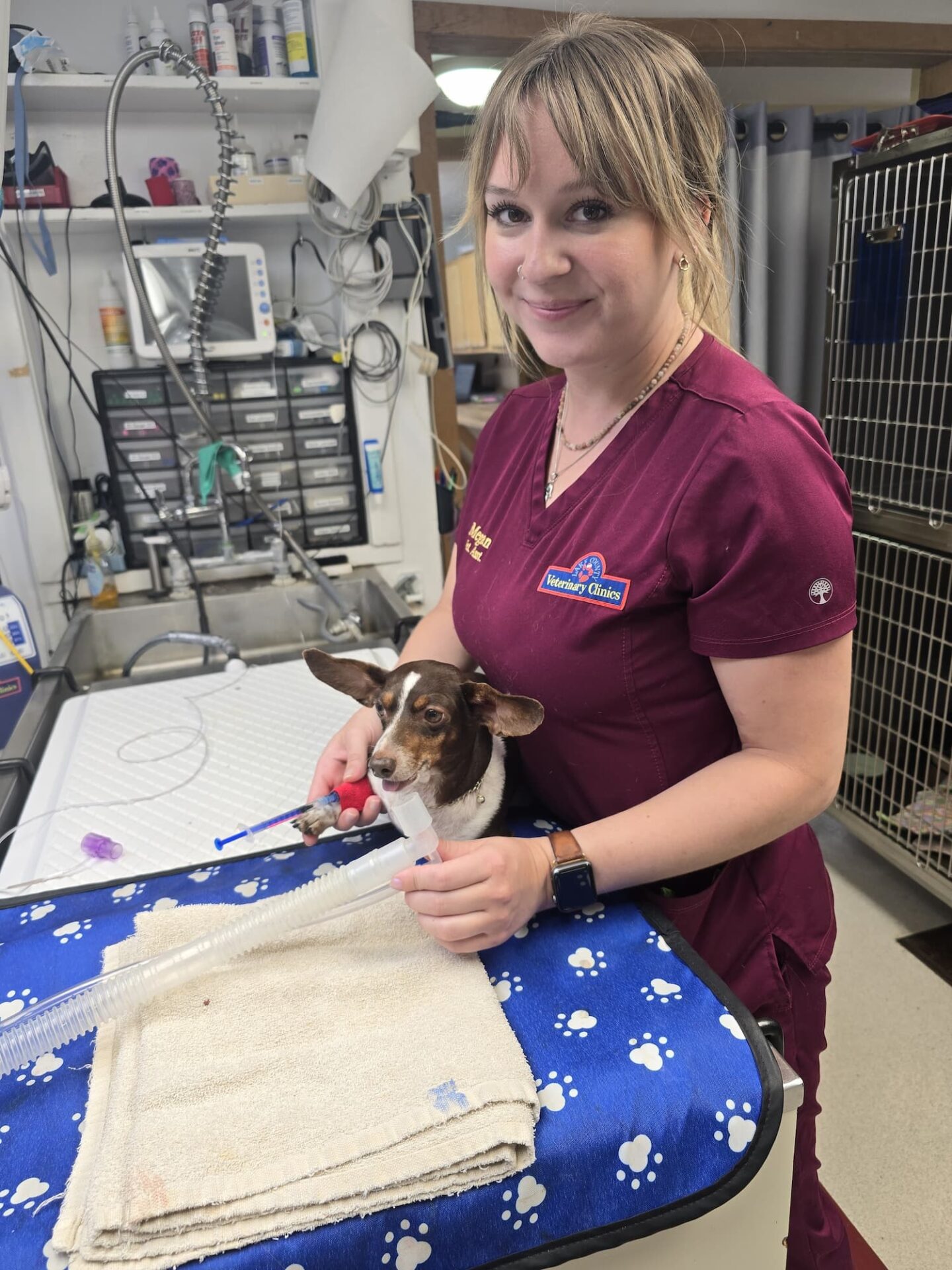 Emergency and Critical Care - Lake County Veterinary Clinics